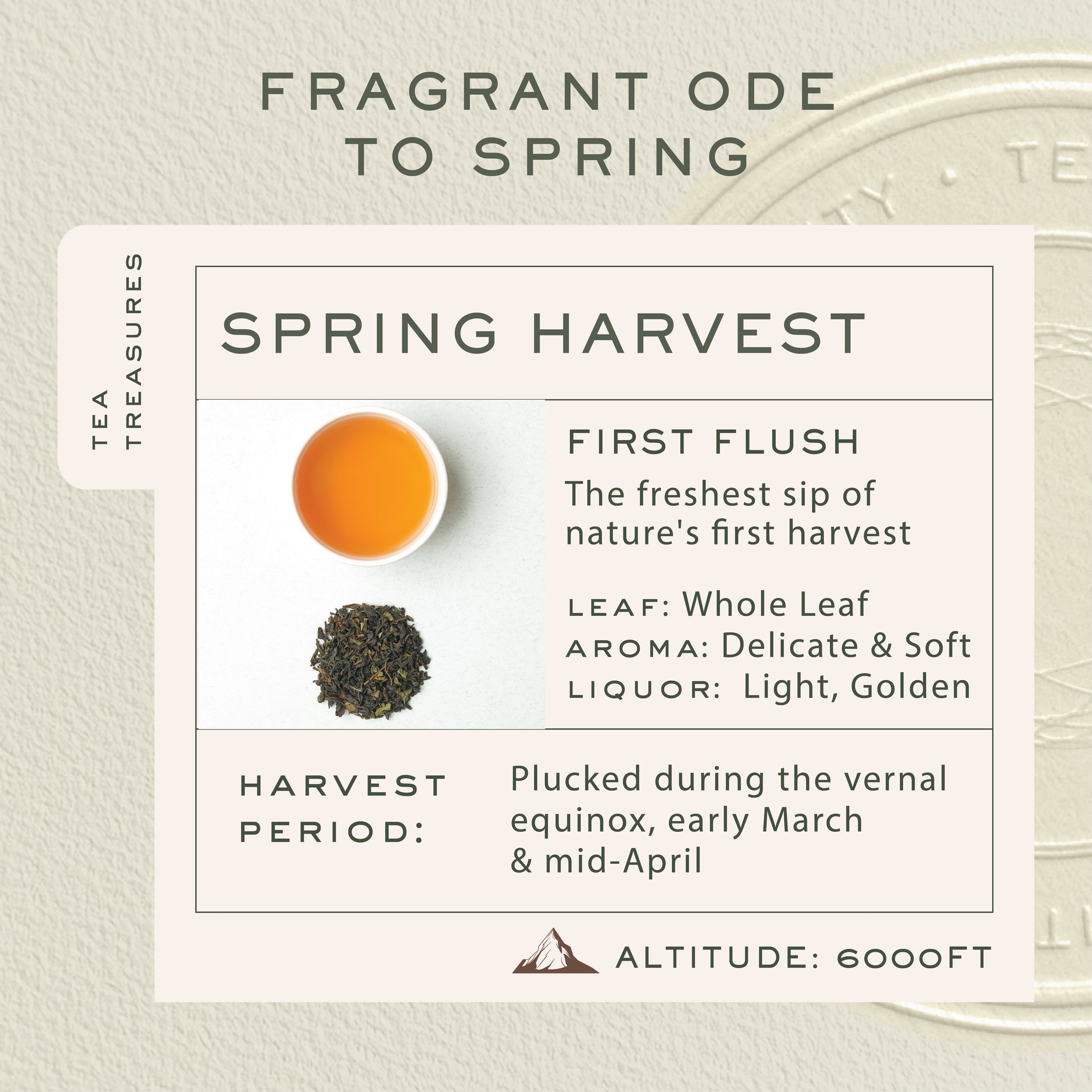 Buy Springtime Bloom Tea Bag Envelop – First Flush Black Tea ...
